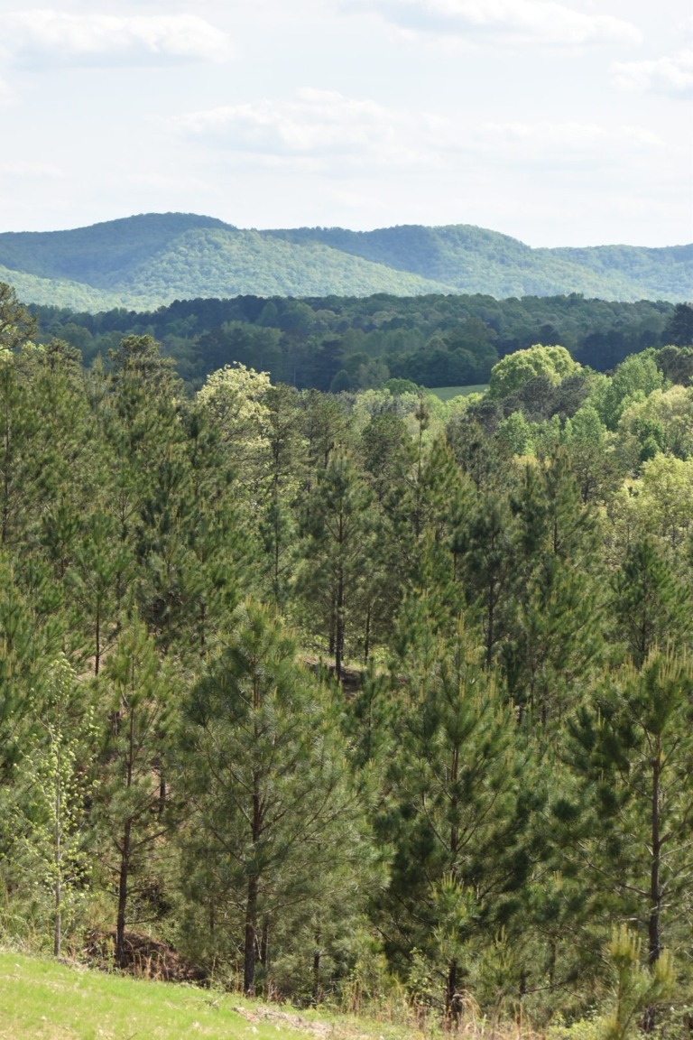 DUNYA CAMP: LUXURY GLAMPING IN SUMMERVILLE, GA | Adventures in Atlanta